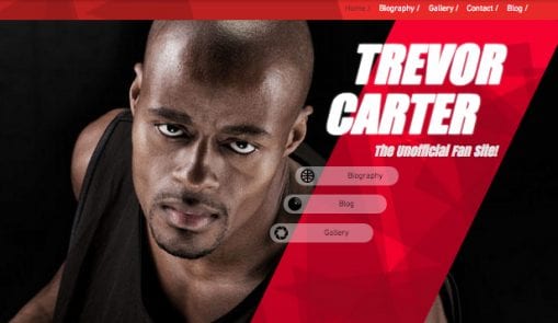 Popstar Fansite Wix Template | Wix Creative Arts Template