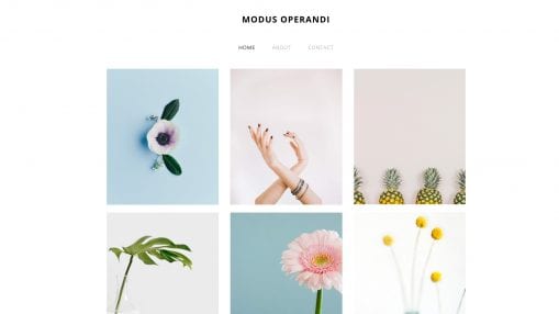 Modus Operandi - Cento Weebly Portfolio Template